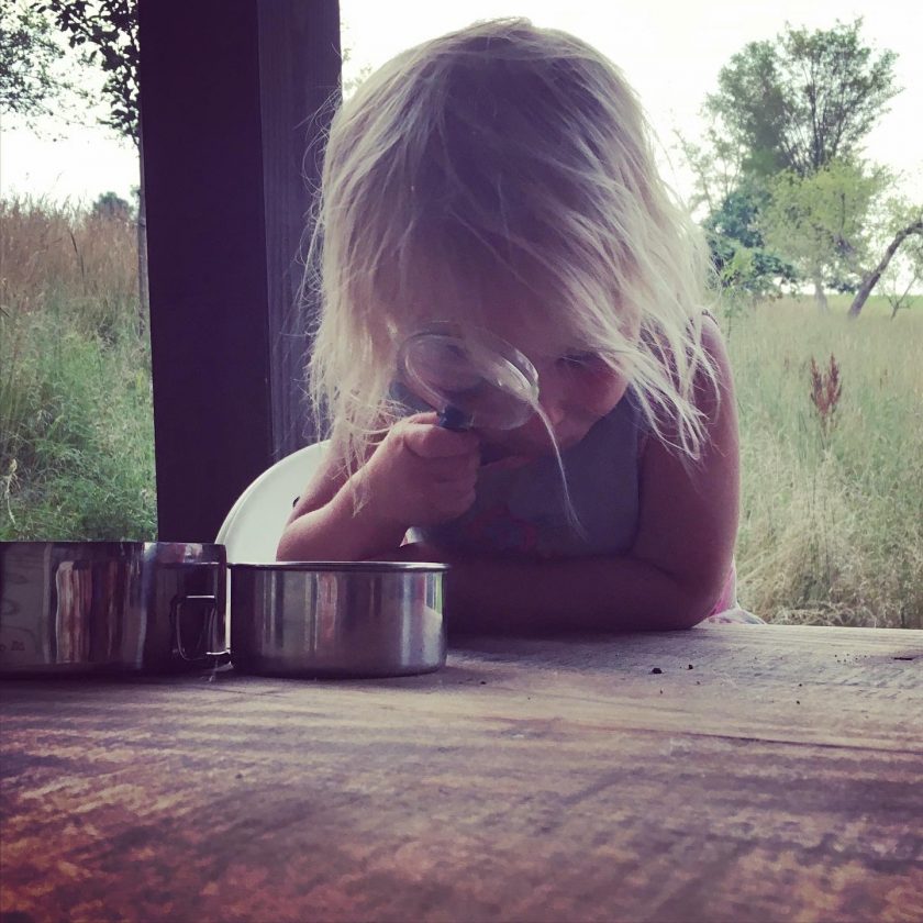 A change to go bug-hunting | News, Sports, Jobs - Times Observer